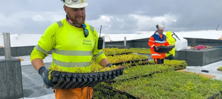 Hvordan legge sedum på taket med kassett - Utomhus Østfold Gress - Din ...